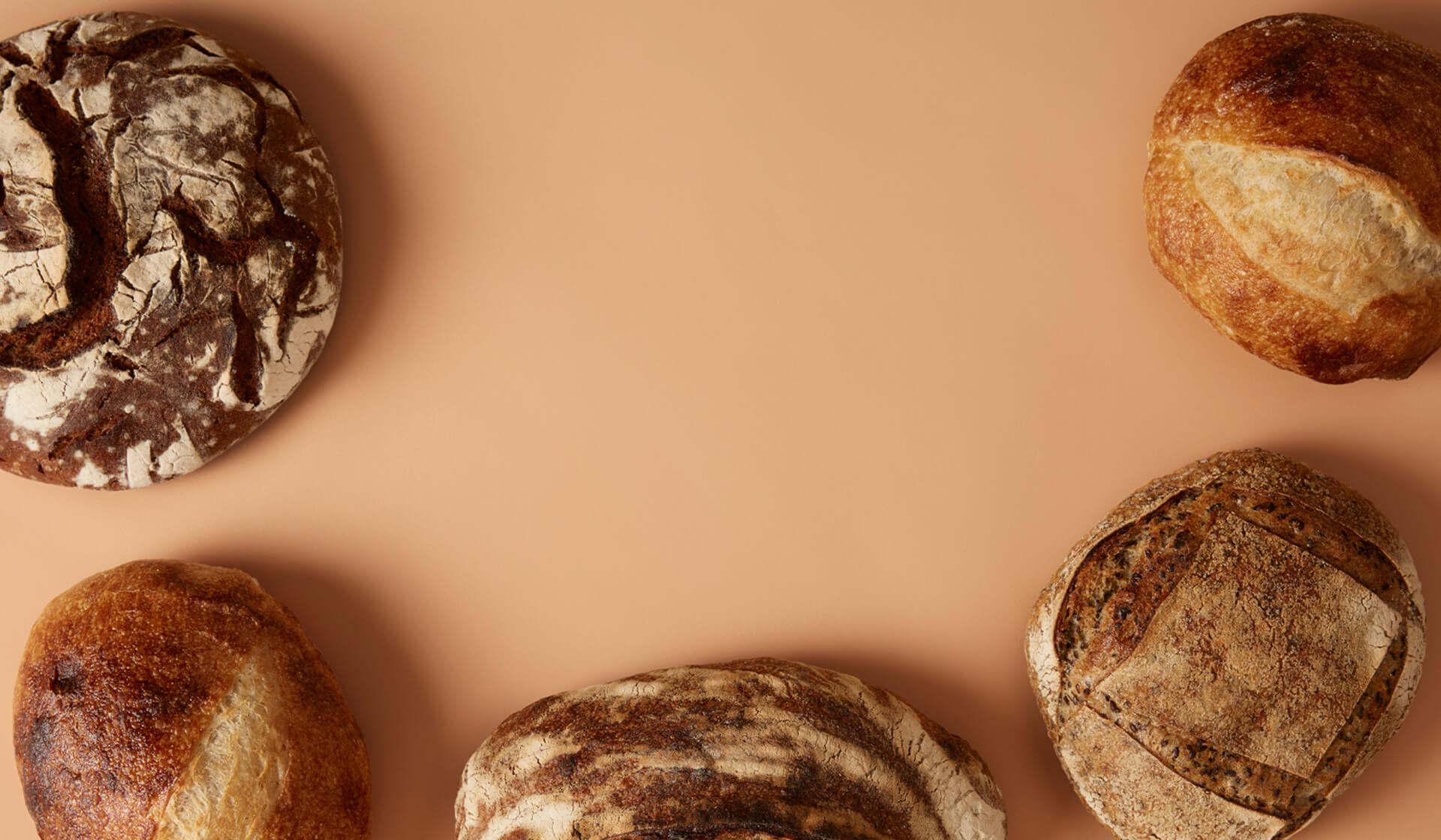 Soluciones - Millbio ES