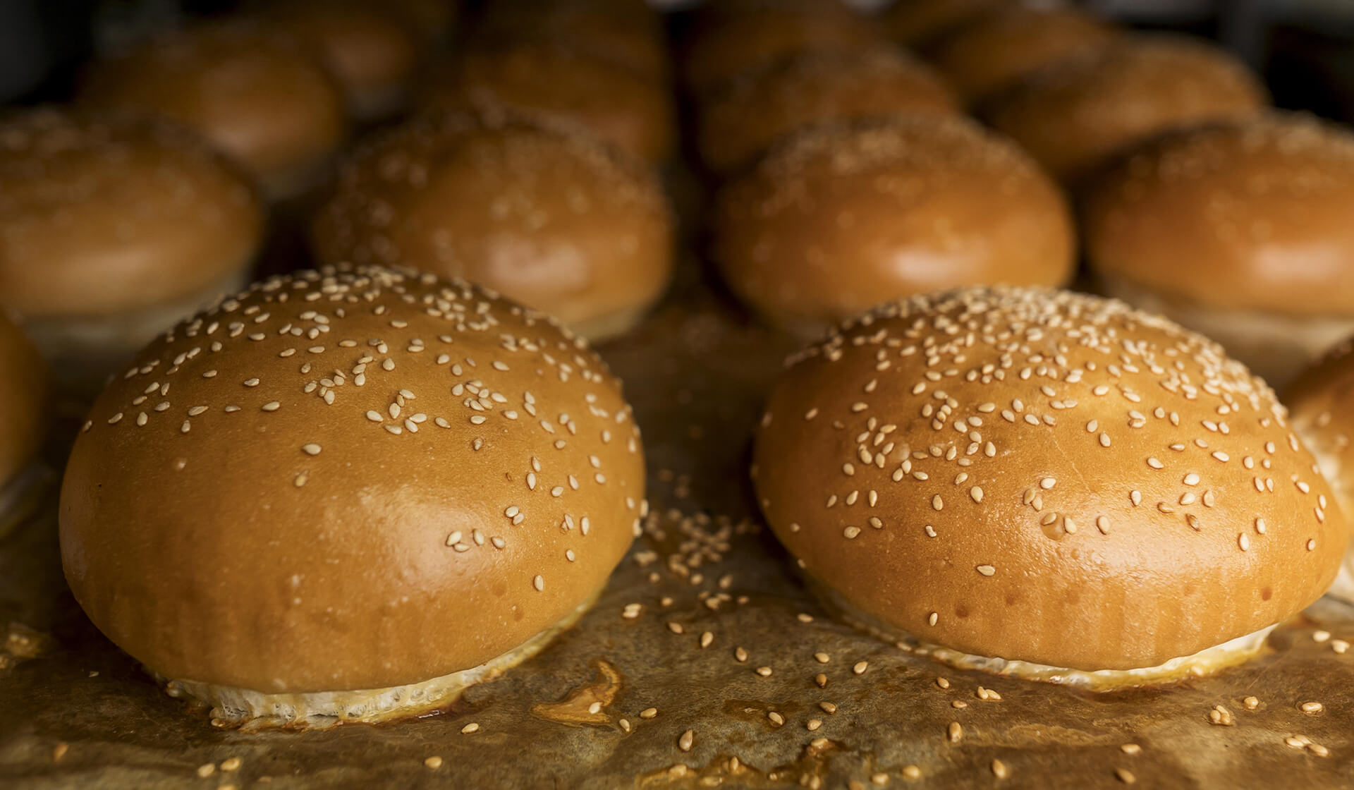 Solutions - Millbio US